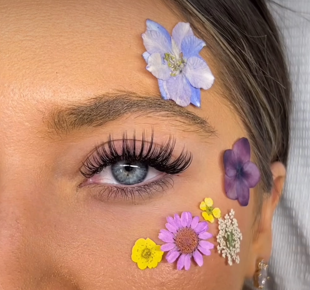 Lashes – The Lash & Brow Society
